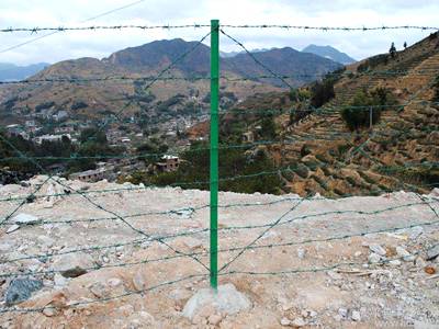 Barbed Wire Fence Post – Star Picket or Round Post for Stability